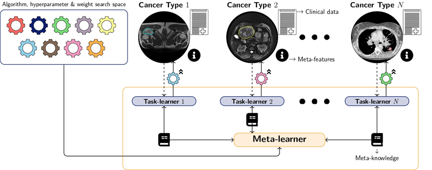 Automated Deep Learning for Soft-Tissue Tumor Classification Using Meta-Learning and AutoML ...